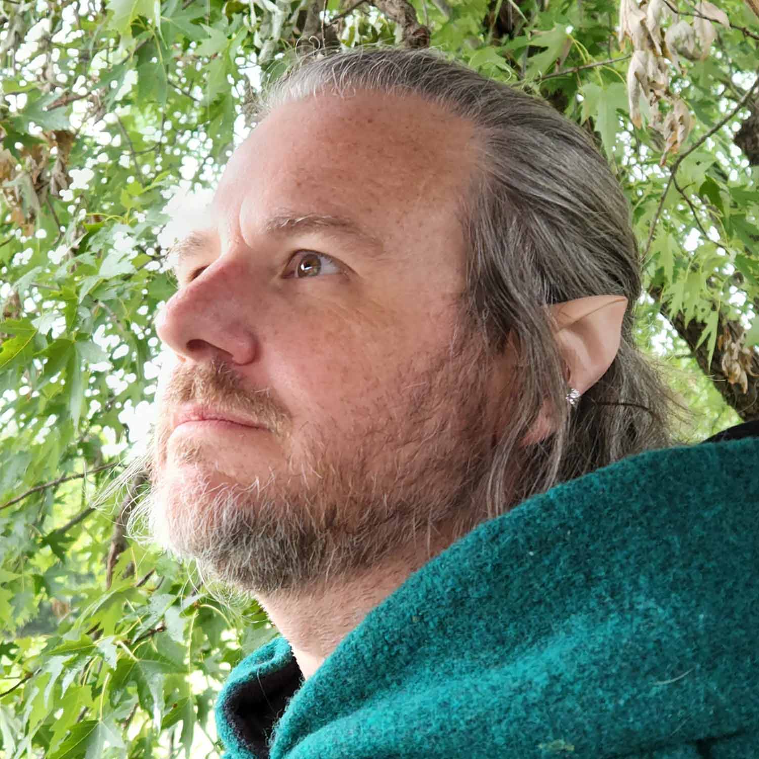 Half Elf Ears - Unpainted – Calimacil